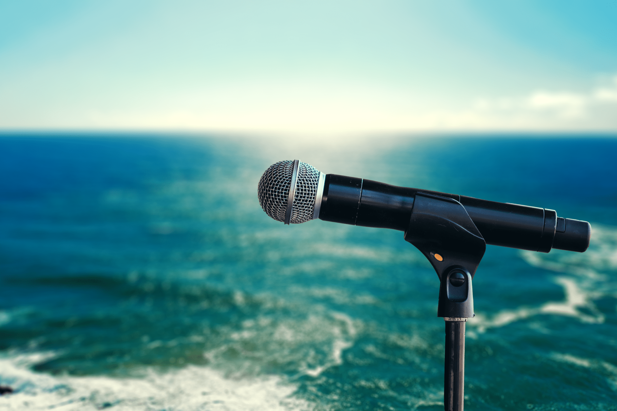 M/V Minnow - Boat Tours Anna Maria Island Excursions